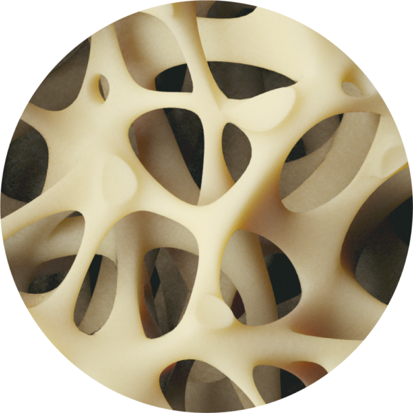 How LIPUS Works | Orthofix Bone Growth Therapy